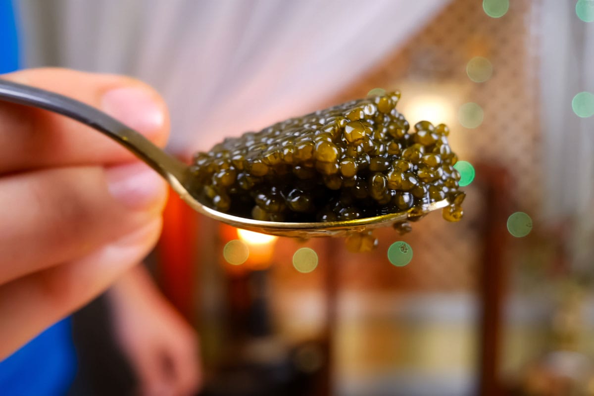 How does the color of osetra caviar indicate its quality level?